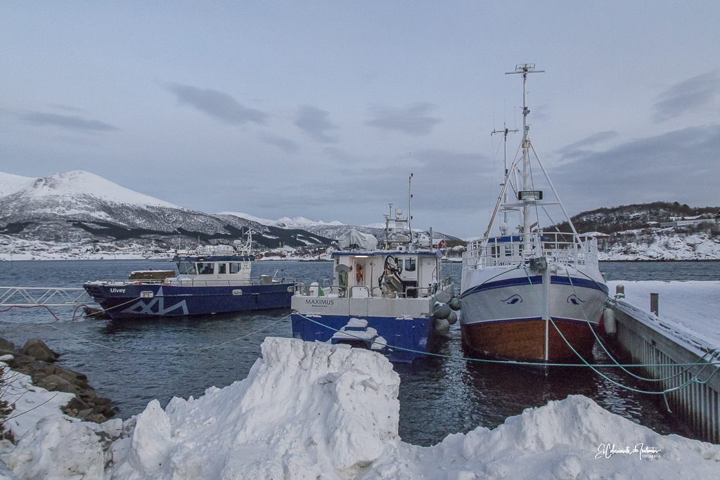 Stokmarknes una ciudad en un invierno nevado isla de Hadsel ...