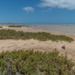 La playa de Risco del Paso Sureste de la isla de Fuerteventura Mayo ...