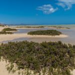 La playa de Risco del Paso Sureste de la isla de Fuerteventura Mayo ...