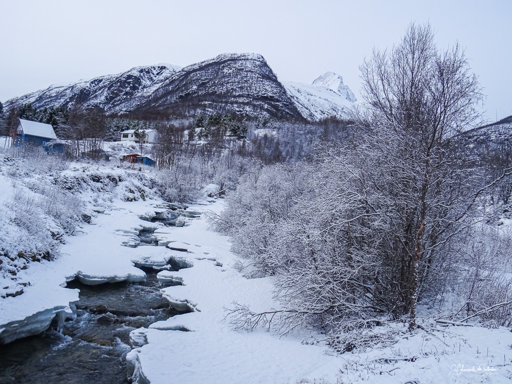 Ruta Steindalsbreen Steindalshytta Hasta El Puente Región de ...